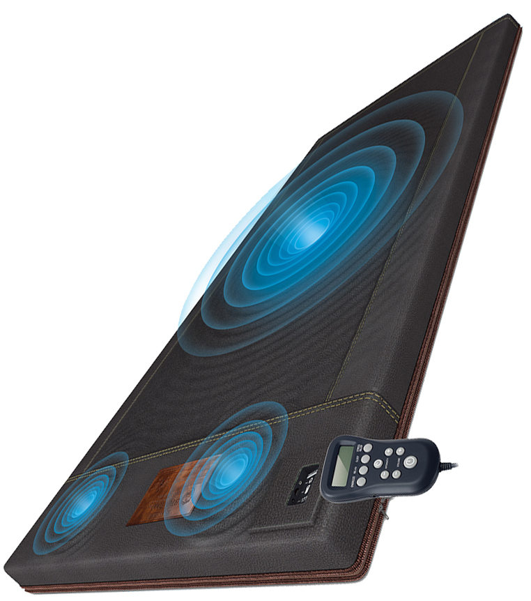 Richway Bioacoustic Mat | Vibro-Acoustic Therapy